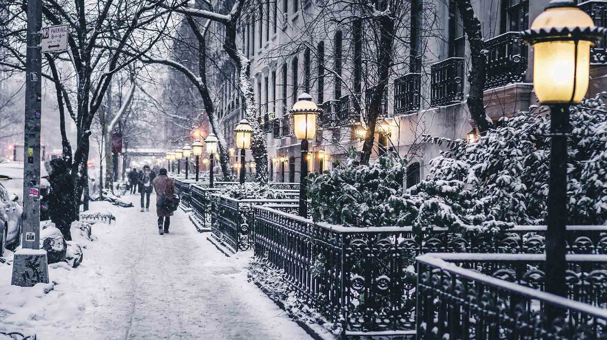 A Hard Winter's Day. A Guide To Cope With Cold In Style